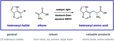 A practical and scalable system for heteroaryl amino acid synthesis ...