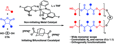 Reversible-deactivation anionic alternating ring-opening ...