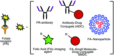 Advances in targeting the folate receptor in the treatment/imaging of ...