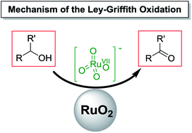 Elucidating the mechanism of the Ley–Griffith (TPAP) alcohol oxidation ...