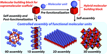 Supramolecular scaffolds enabling the controlled assembly of functional ...