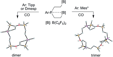 Formation of macrocyclic ring systems by carbonylation of trifunctional ...