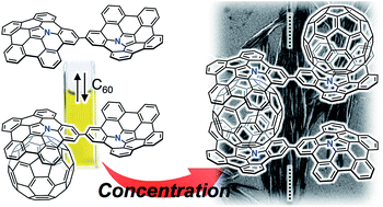 Supramolecular assemblies of a nitrogen-embedded buckybowl dimer with ...