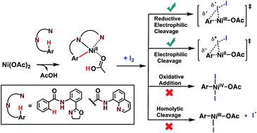 The mechanism of directed Ni(ii)-catalyzed C–H iodination with ...