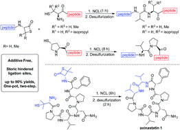 Coupling of sterically demanding peptides by β-thiolactone-mediated ...