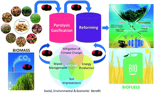 CO2-looping in biomass pyrolysis or gasification - Sustainable Energy ...