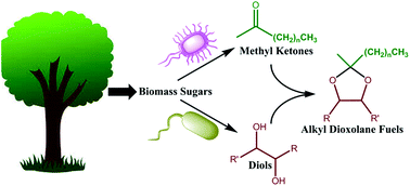 High cetane renewable diesel fuels prepared from bio-based methyl ...