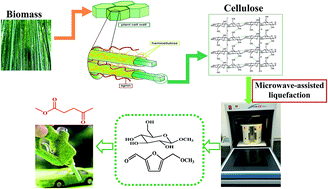 Selective catalytic conversion of waste lignocellulosic biomass for ...