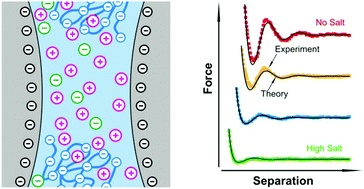 Depletion and double layer forces acting between charged particles in ...