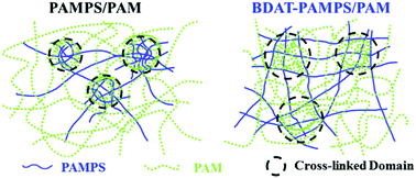 Double network hydrogels with highly enhanced toughness based on a ...