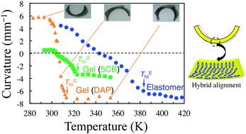 Thermal bending coupled with volume change in liquid crystal gels ...