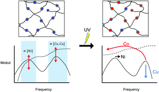 Bio-inspired metal-coordinate hydrogels with programmable viscoelastic material functions ...