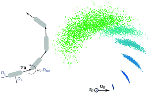 Intermediate scattering function of an anisotropic Brownian circle swimmer - Soft Matter (RSC ...
