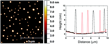 Poly(styrene-co-butadiene) random copolymer thin films and ...