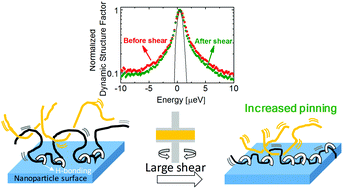 Chain dynamics and nanoparticle motion in attractive polymer ...