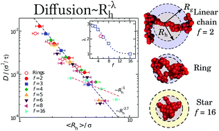 Influence of polymer architectures on diffusion in unentangled polymer ...