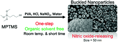 From a silane monomer to anisotropic buckled silica nanospheres: a ...