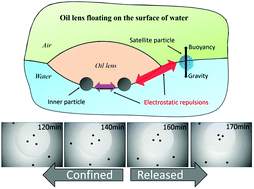 Electrostatic interactions between particles through heterogeneous ...