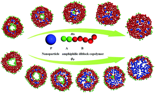Nanoparticle encapsulation in vesicles formed by amphiphilic diblock ...