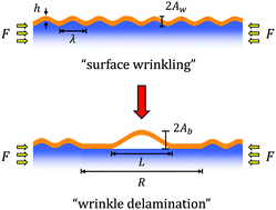 Wrinkling-to-delamination transition in thin polymer films on compliant ...