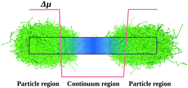 Hybrid particle-continuum simulations coupling Brownian dynamics and ...