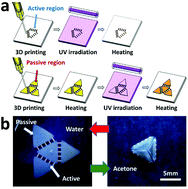 4D printing of a self-morphing polymer driven by a swellable guest ...