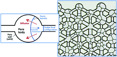 Foam flow in a model porous medium: I. The effect of foam coarsening ...
