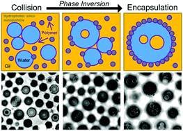 Controllable one-step double emulsion formation via phase inversion ...