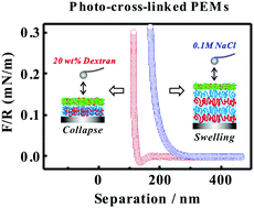 Polyelectrolyte multilayers under compression: concurrent osmotic ...