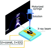 Impact of the solubility of organic semiconductors for solution ...