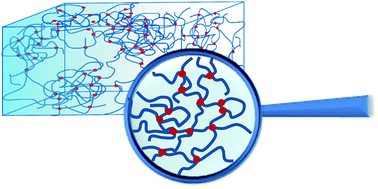 Dynamics-based assessment of nanoscopic polymer-network mesh structures ...