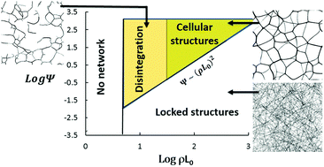 Structural evolution and stability of non-crosslinked fiber networks ...