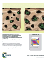 Back cover - Soft Matter (RSC Publishing)