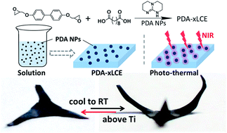 Polydopamine nanoparticles doped in liquid crystal elastomers for ...