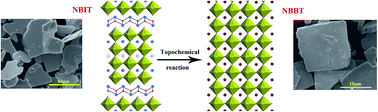 Topochemical transformation of two-dimensional single crystalline Na0 ...