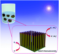 Freestanding nano-photoelectrode as a highly efficient and visible ...