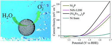 Hierarchical NiFeP microflowers directly grown on Ni foam for efficient electrocatalytic oxygen ...