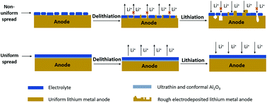 Lithium metal protected by atomic layer deposition metal oxide for high ...