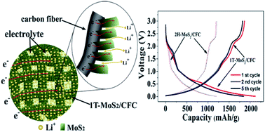 Metallic 1T MoS2 nanosheet arrays vertically grown on activated carbon ...
