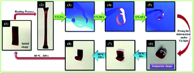 New stimulus-responsive shape-memory polyurethanes capable of UV light-triggered deformation ...