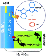 Poly(3,4-ethylenedioxythiophene)-tosylate (PEDOT-Tos) electrodes in ...