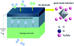 Intermediate-temperature solid oxide electrolysis cells with thin ...