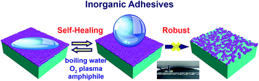 Inorganic adhesives for robust, self-healing, superhydrophobic surfaces ...