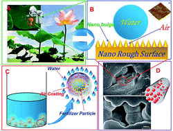 Superhydrophobic controlled-release fertilizers coated with bio-based ...