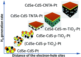 Fabricating efficient CdSe–CdS photocatalyst systems by spatially ...