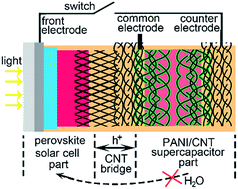 A photocapacitor based on organometal halide perovskite and PANI/CNT ...