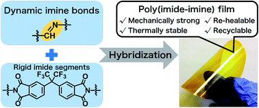Rehealable imide–imine hybrid polymers with full recyclability ...