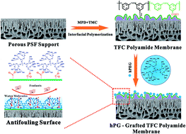 Modification of thin film composite polyamide membranes with 3D ...