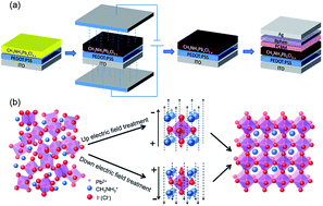 Electric-field assisted perovskite crystallization for high-performance ...
