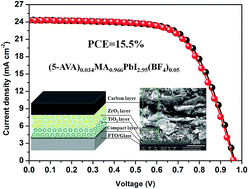 Mixed (5-AVA)xMA1−xPbI3−y(BF4)y perovskites enhance the photovoltaic ...
